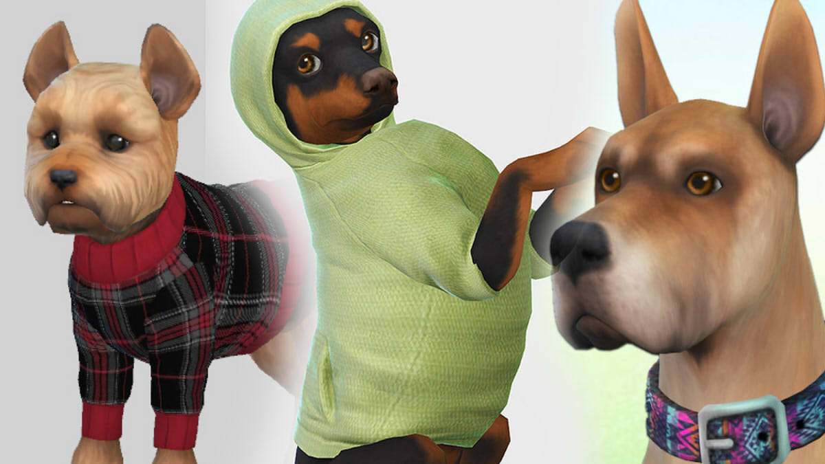The Sims 4 CC: 8 Best Dog Collars & Costumes - The Sims News